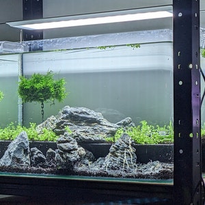 Floating Aquascape Island, 2 Sizes - Etsy