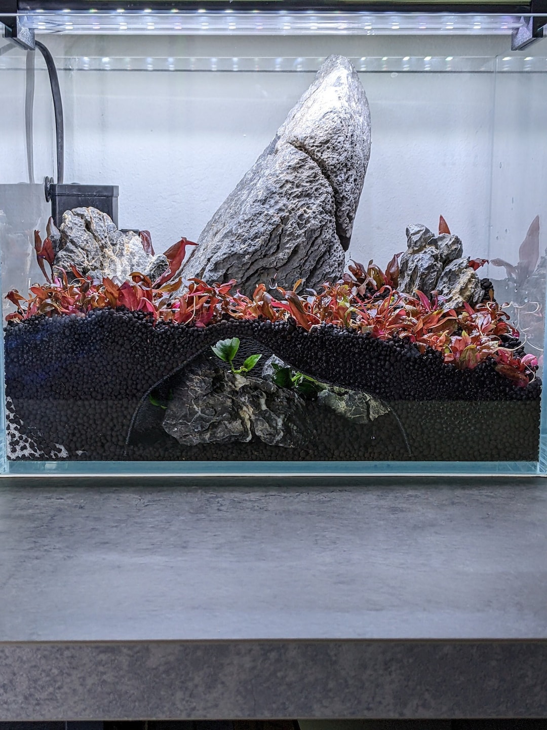 Aquarium Natural Underground Cave - Etsy