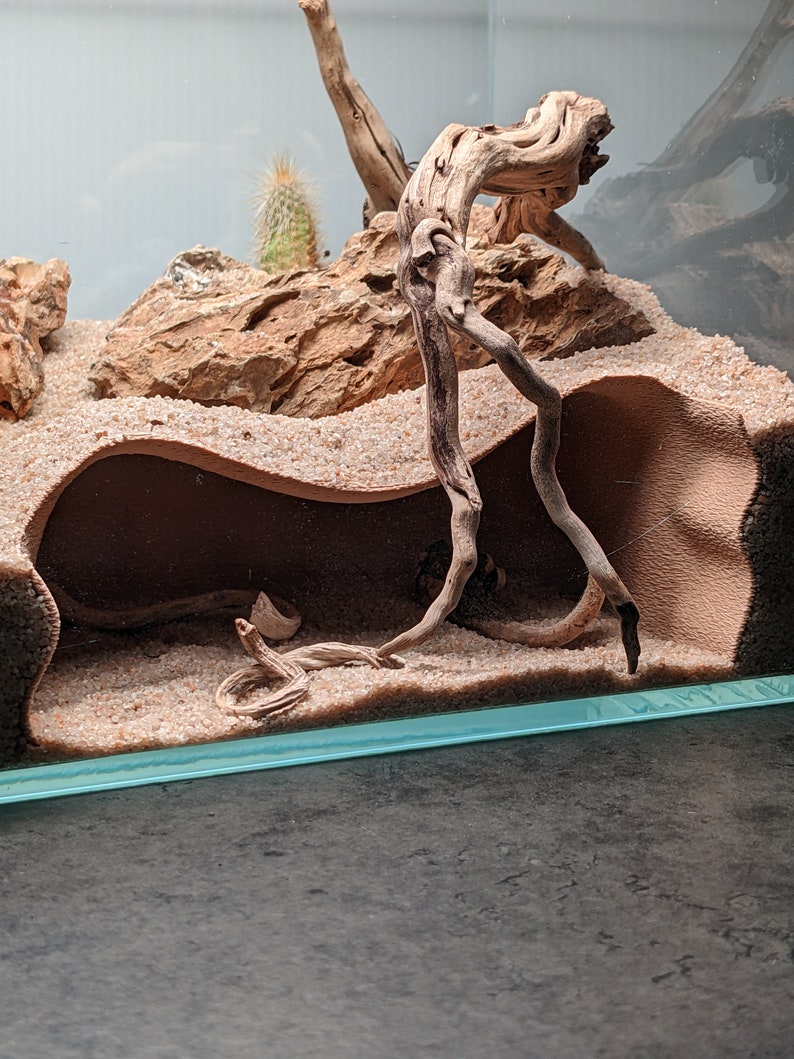 Terrarium/aquarium Underground Natural Cave (M) - Etsy