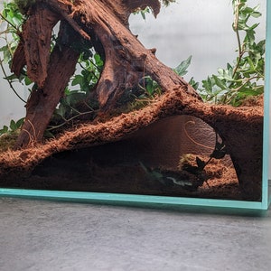 Terrarium Natural Underground Cave (L) - Etsy