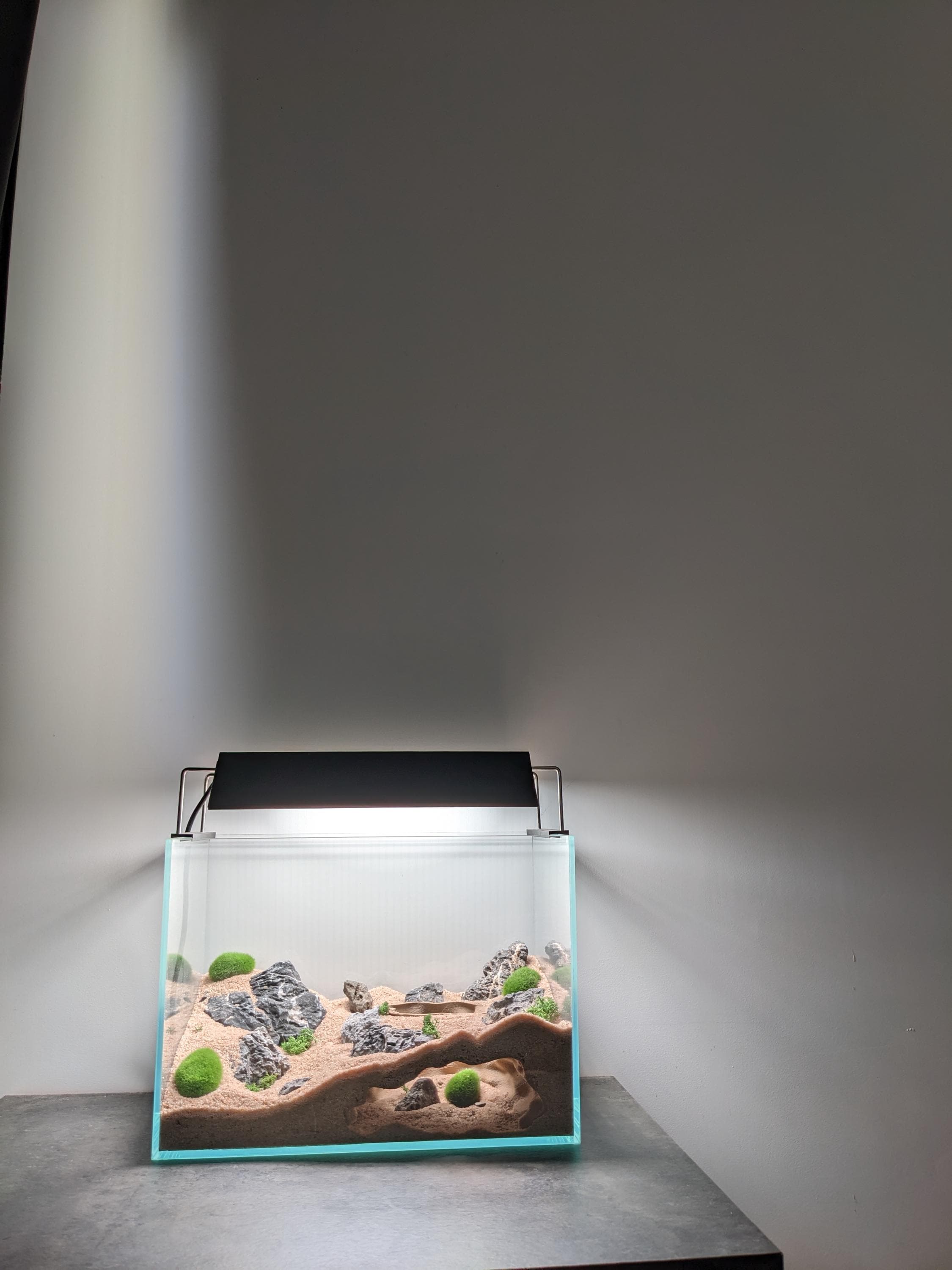 NEW! Aquarium/terrarium Rock Den - Etsy