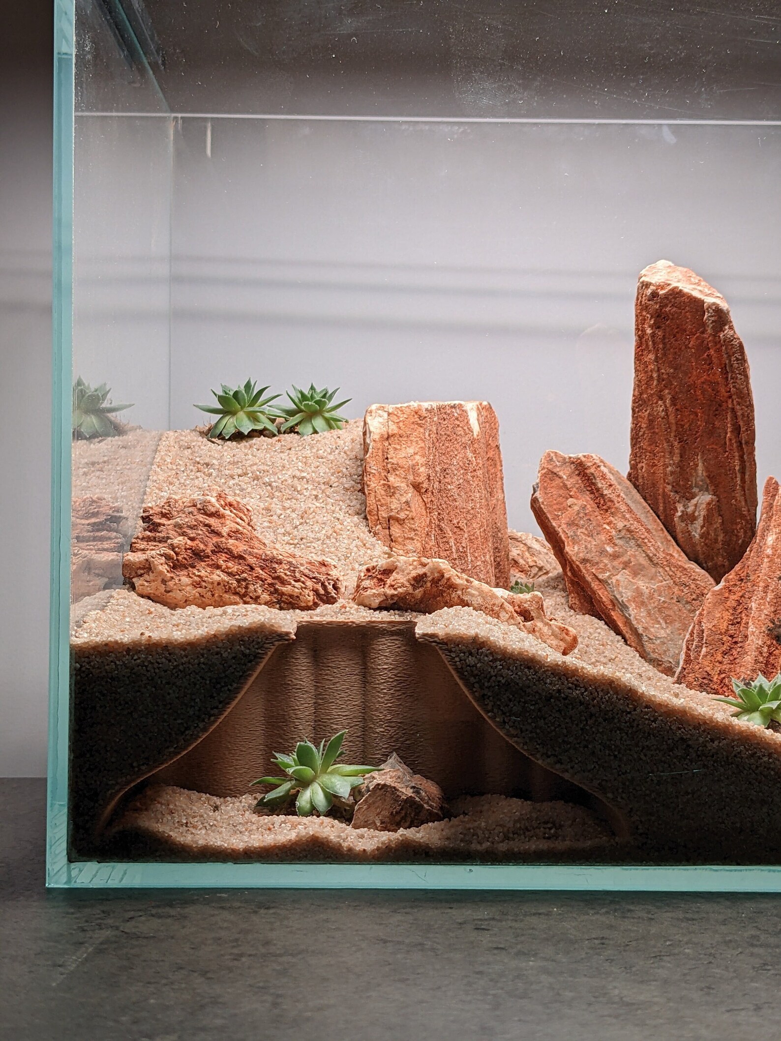 Terrarium/aquarium Underground Funnel Cave (M) - Etsy