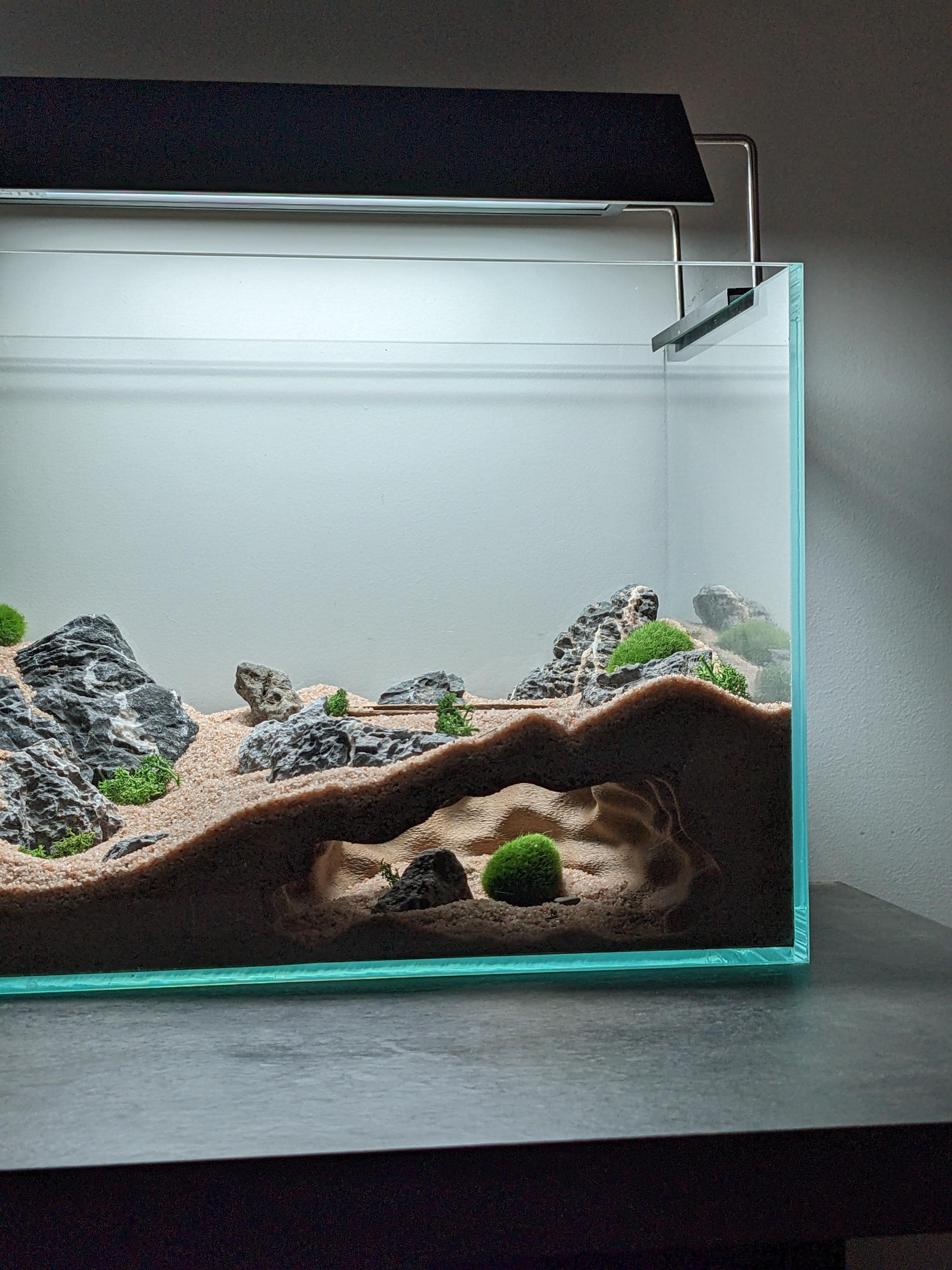 NEW! Aquarium/terrarium Rock Den - Etsy