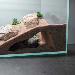 Terrarium Underground Natural Cave (M) - Etsy