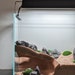 Aquarium/terrarium Natural Corner Underground Home, 2 Sizes - Etsy