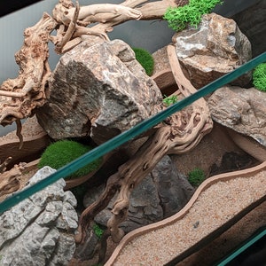 Aquarium/terrarium Underground Natural Cave (XL) - Etsy