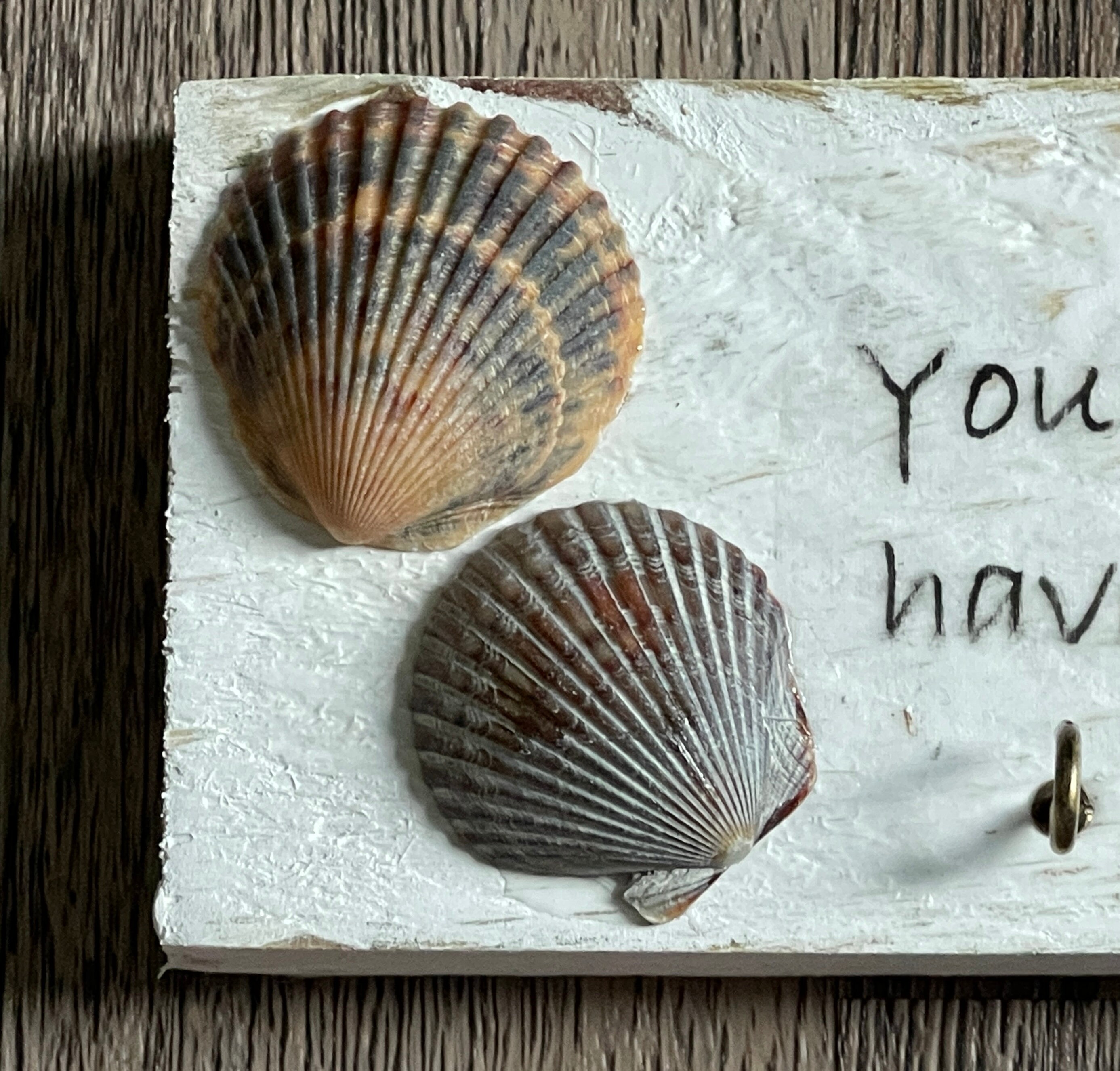 Jewelry Hanger Wall Mounted Sea Shells Beach Quote Ocean Necklaces ...