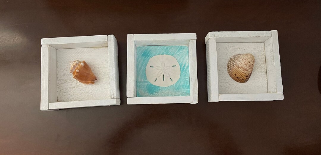 Seashell Wall Decor. Whitewashed Handcrafted Beach Shadowbox Art Hang ...