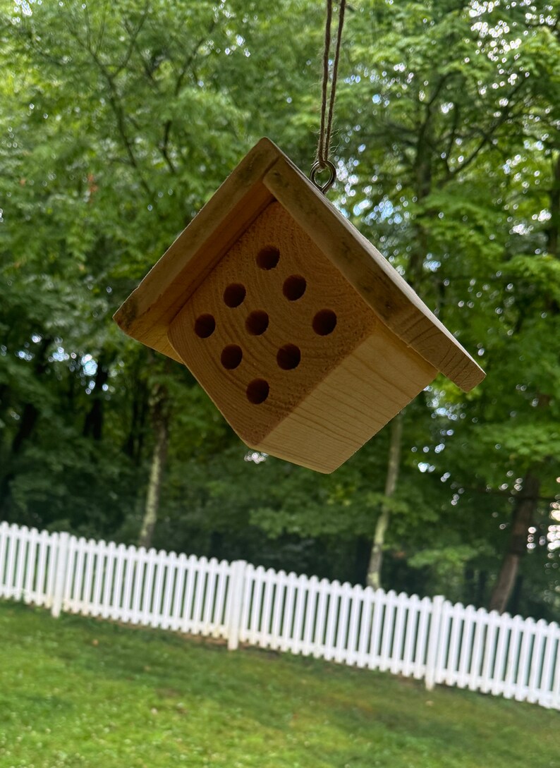 Carpenter Bee Hotel Protective Habitat for Egg Laying and Hibernation ...