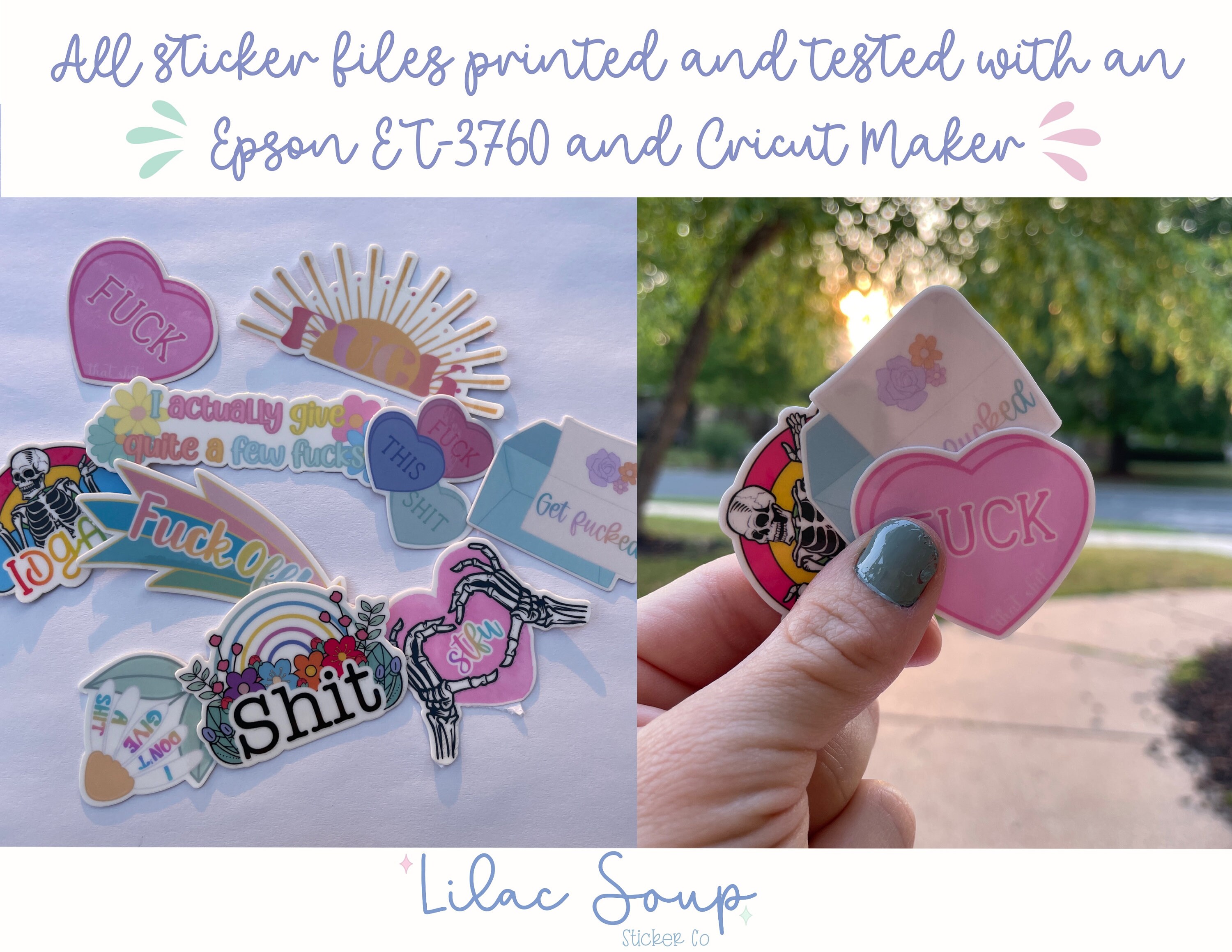 Rude Stickers, Funny Printable Stickers, Cuss Word Planner Stickers ...