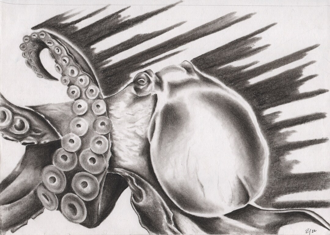 Accurate Photo Realism Portraits, Hand Drawn, Made to Order - Etsy