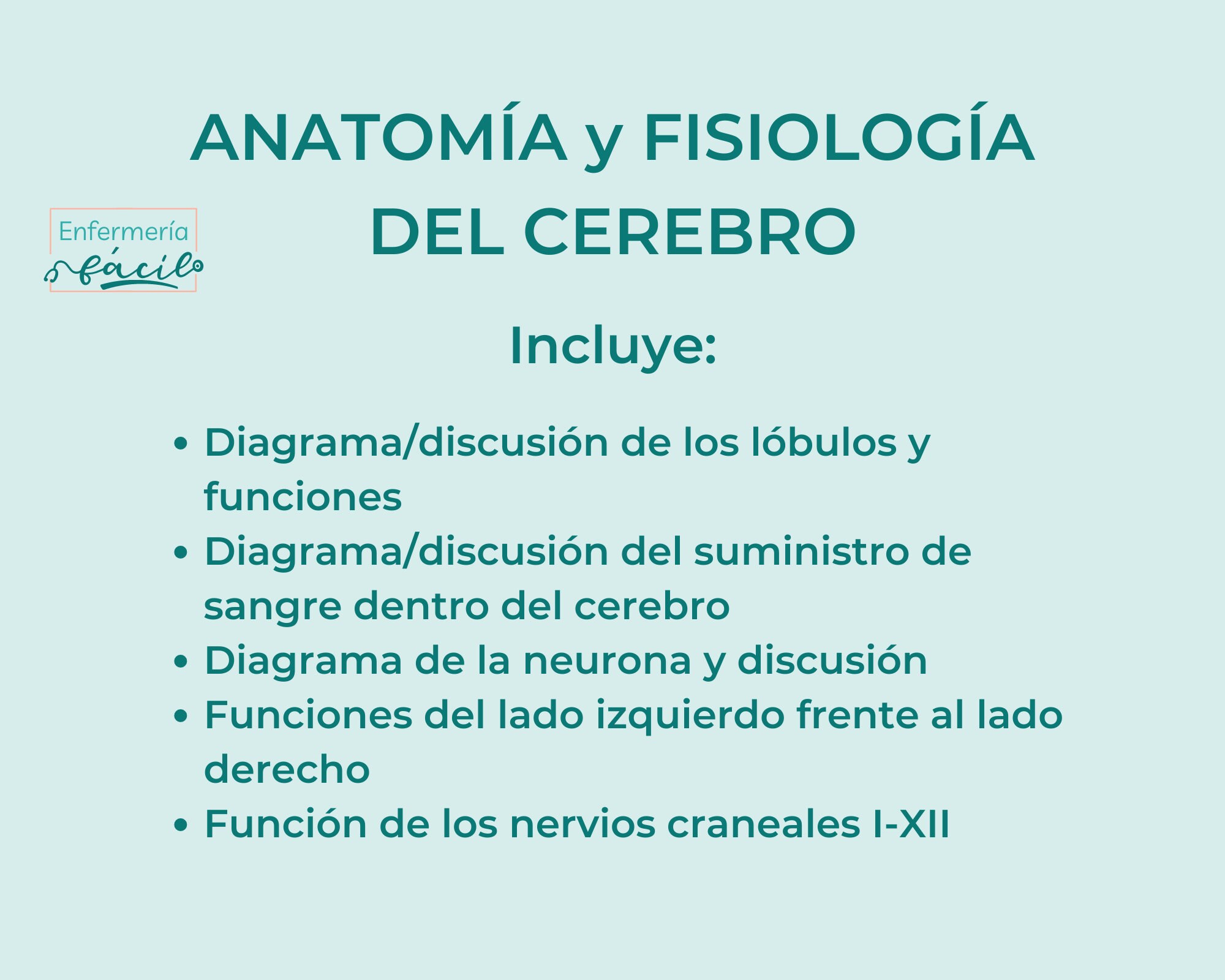 Brain Anatomy and Physiology Study Guide Nursing Study Guides Digital ...