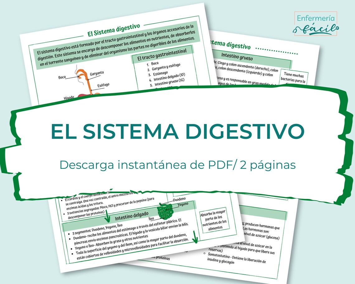 Digestive System Study Guide GI Tract Gastrointestinal Nursing Study ...