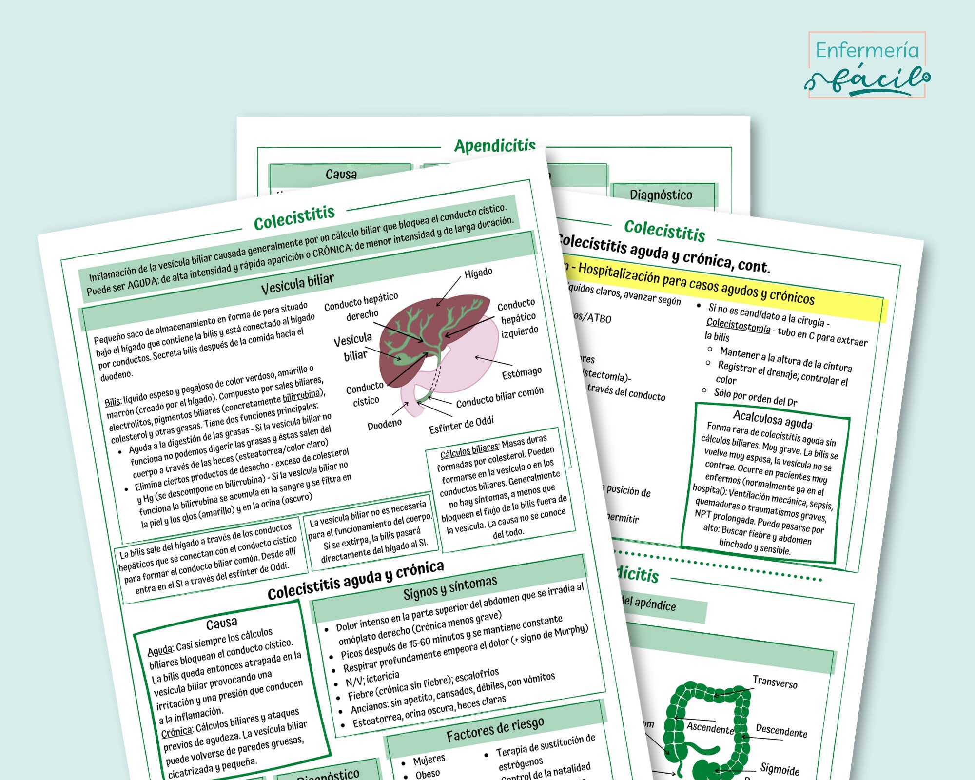 Cholecystitis and Appendicitis Study Guide Nursing Study Guide Digital ...