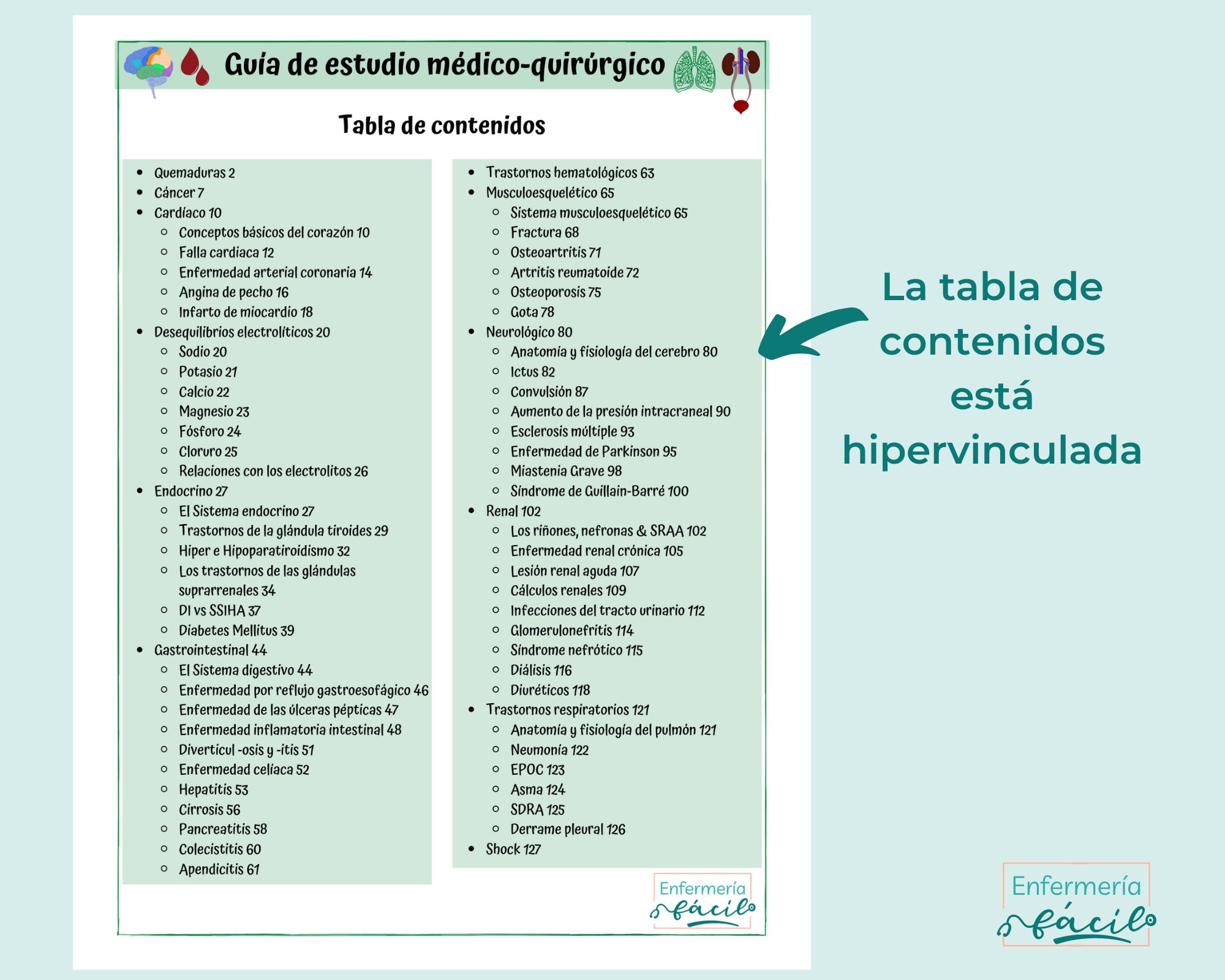 Medical-surgical Study Guide Package Nursing Study Guides Digital Notes ...