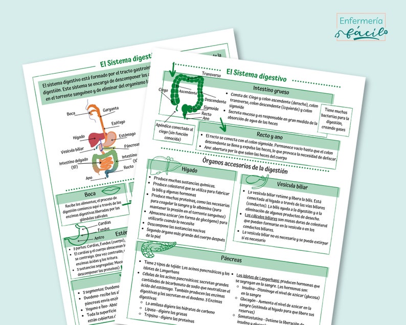Digestive System Study Guide GI Tract Gastrointestinal Nursing Study ...