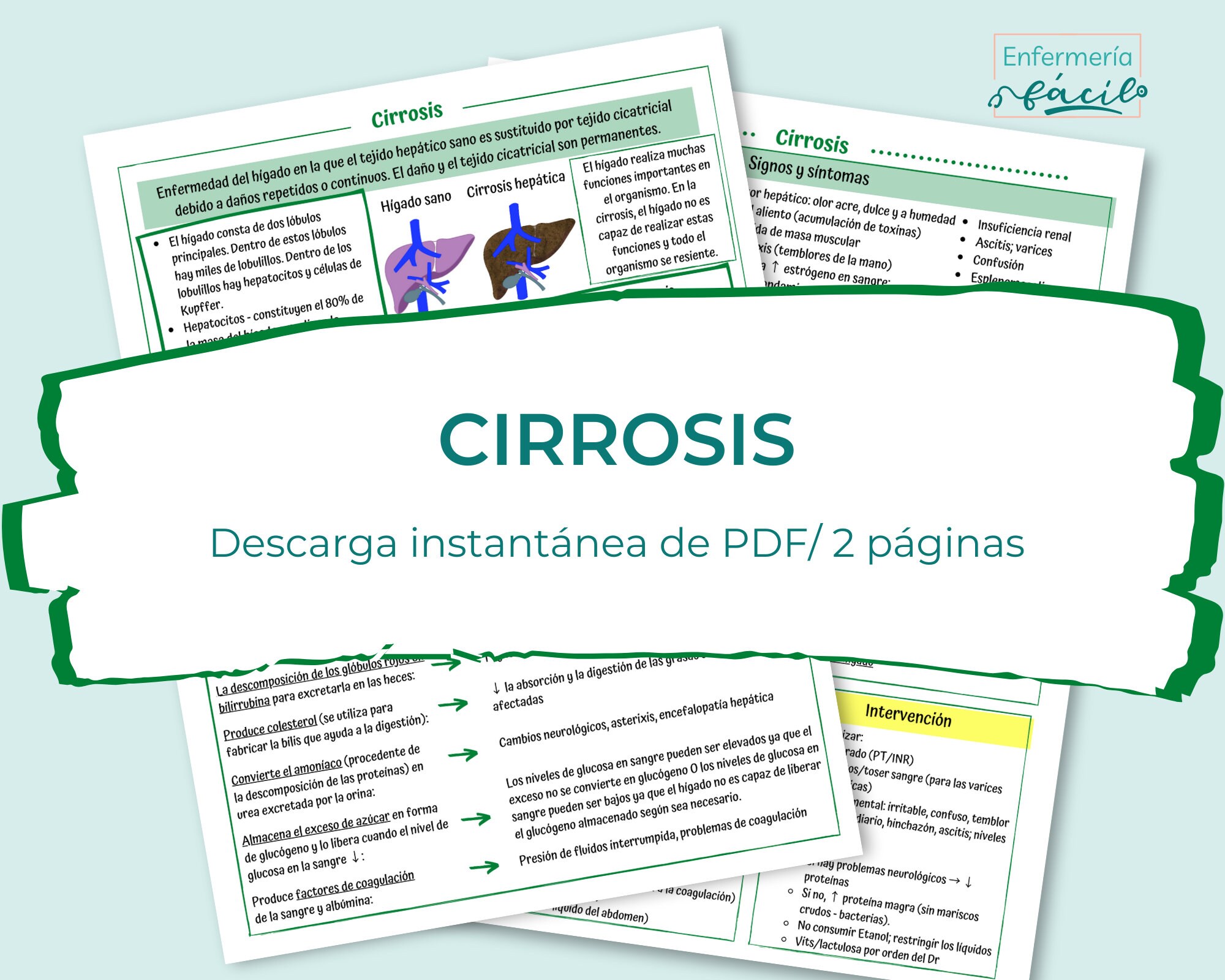 Cirrhosis Study Guide Nursing Study Guide Digital Download Nursing ...