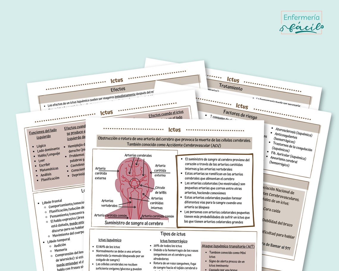 Stroke Study Guide Nursing Study Guides Digital Notes - Etsy