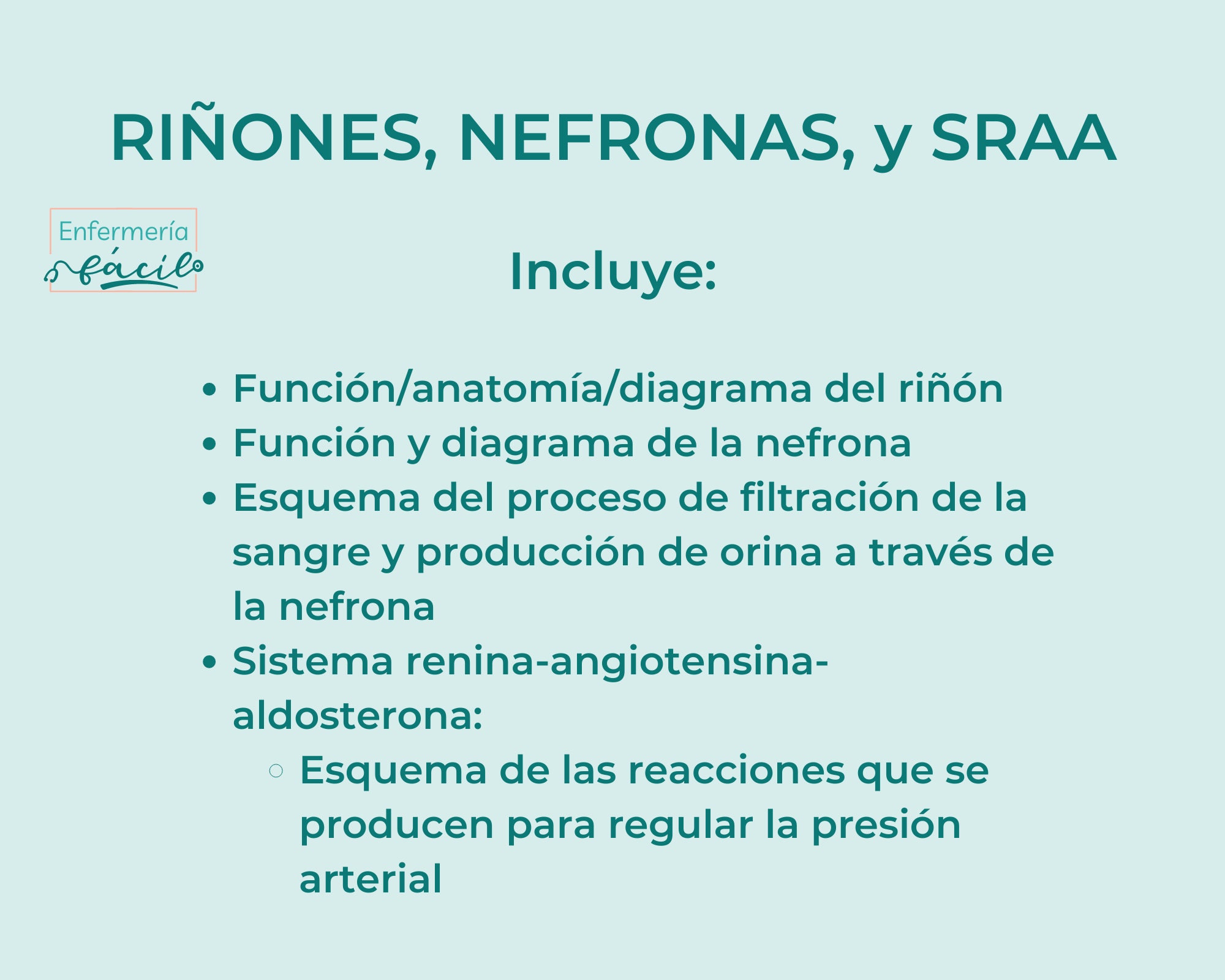 Kidneys, Nephrons, and RAAS Study Guide Renin-angiotensin-aldosterone ...