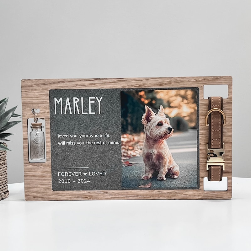 Urn for Dog Shadow Box - Etsy