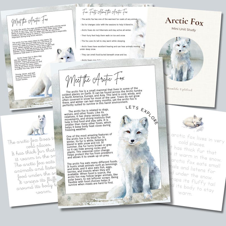 Arctic Fox Mini Unit Study | Arctic Animals Homeschool | Winter ...