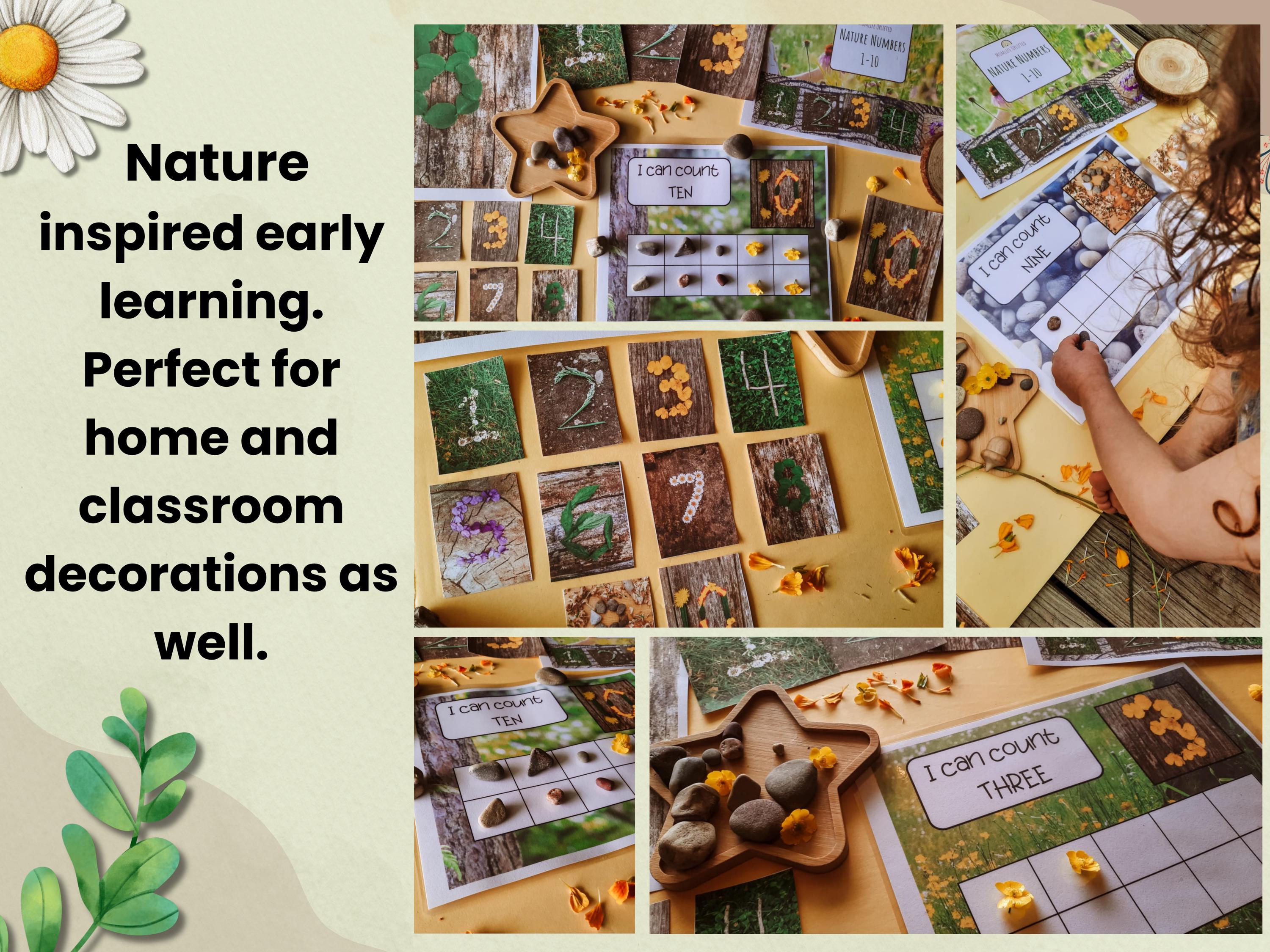 Nature Numbers, Ten Frame Counting Worksheets, Reggio Inspired ...