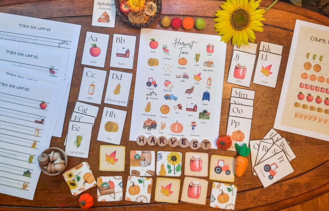 Harvest Fall Learning Flashcards and Worksheets - Etsy