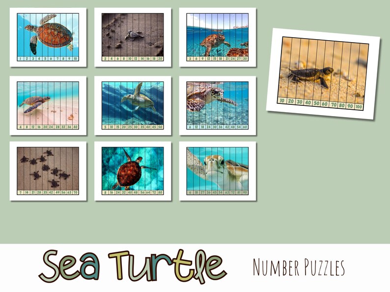 Skip Counting Puzzles Printable, Sea Turtle Number Puzzles, Morning ...