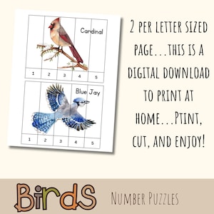 Birds Morning Basket Activity for Preschool, Printable Number Puzzles ...