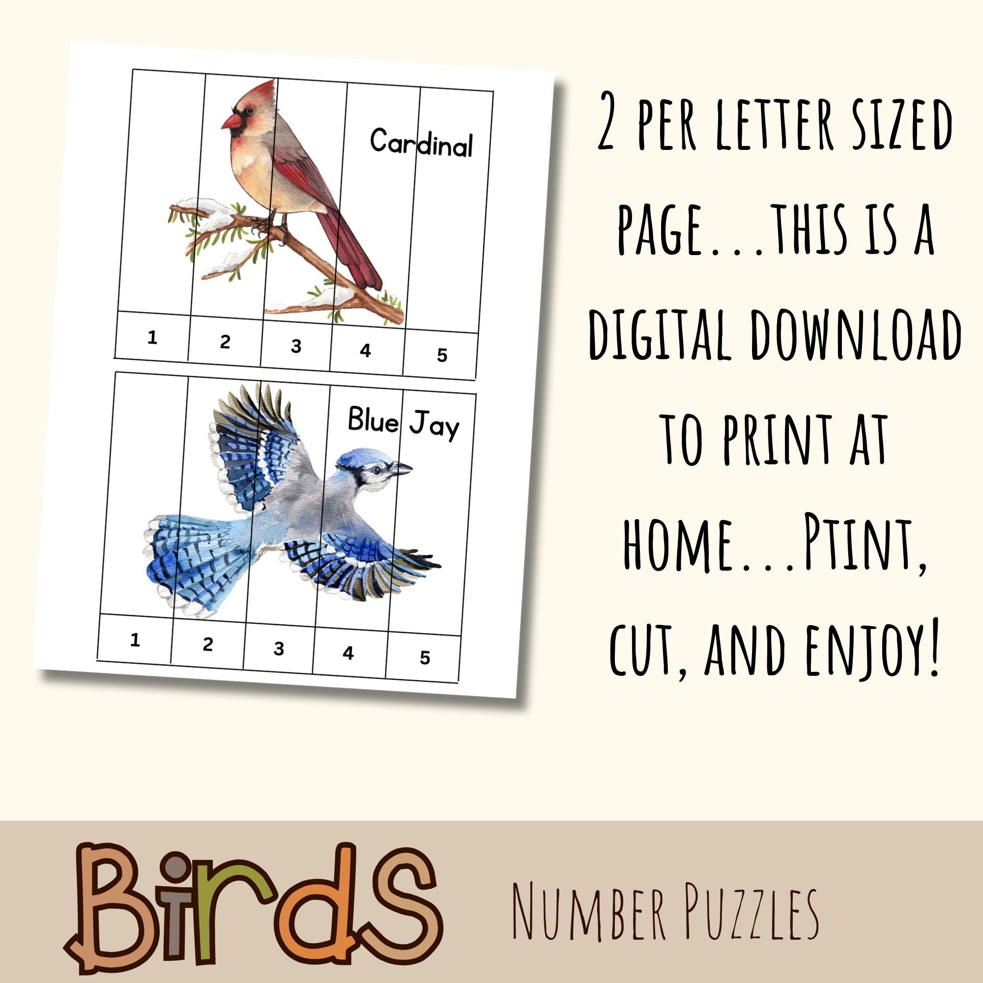Birds Morning Basket Activity for Preschool, Printable Number Puzzles ...