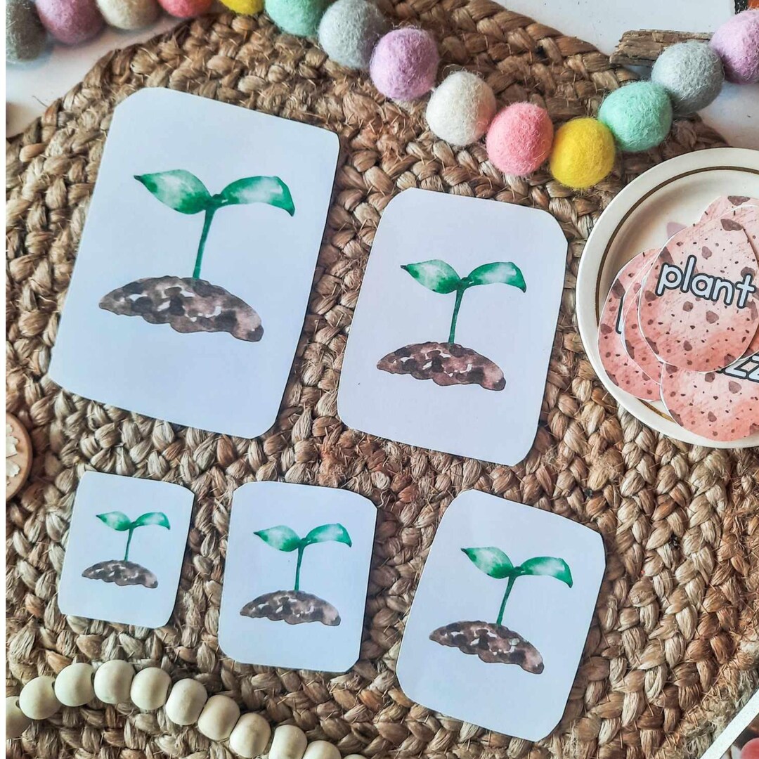 Spring Morning Basket Activities for Preschool, Kindergarten, and ...