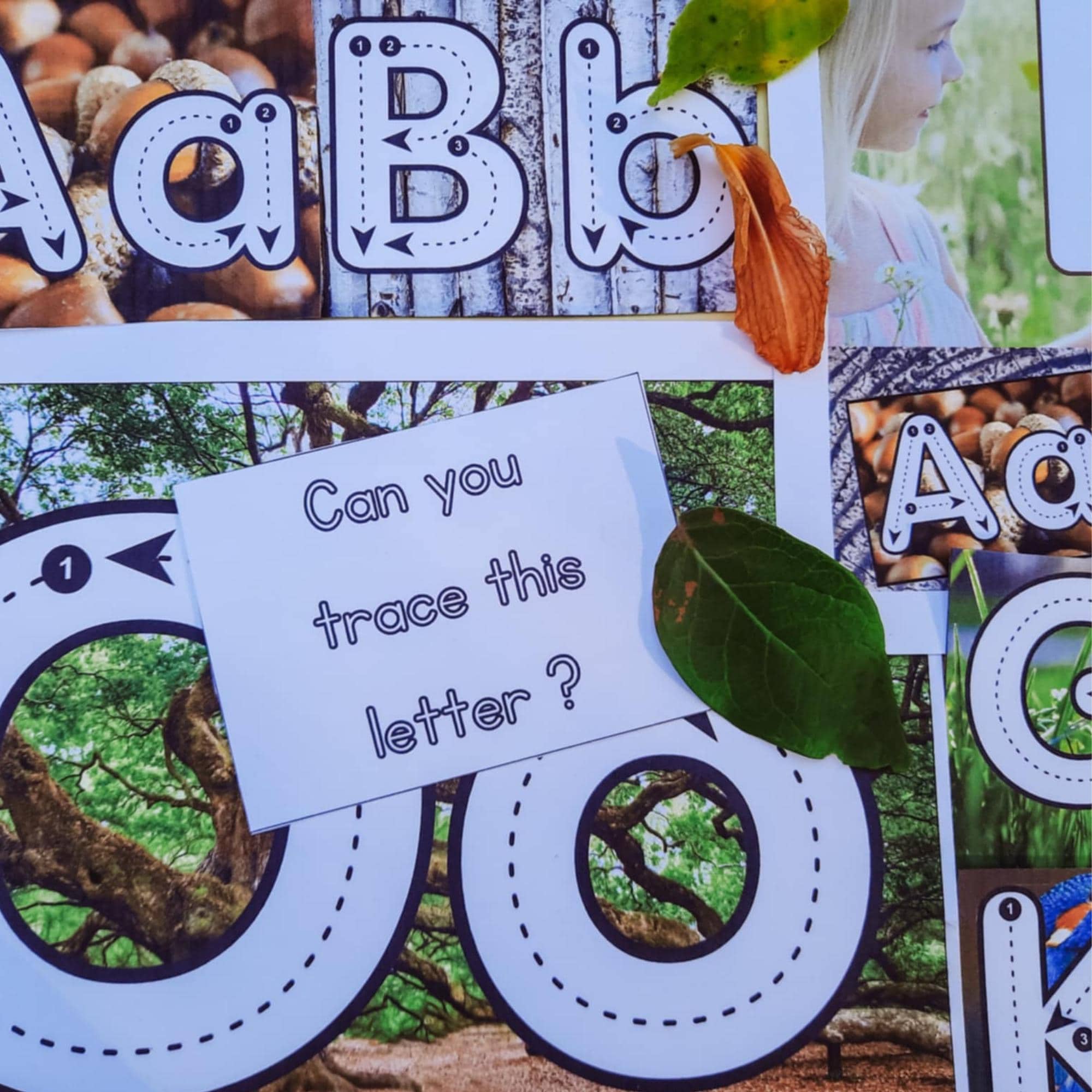 Reggio Emilia Preschool Printables | Nature School Prek Curriculum ...