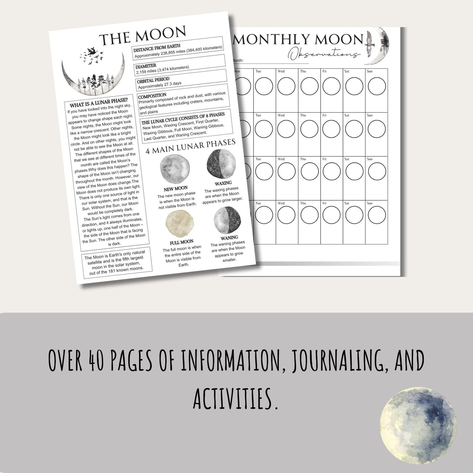 Moon Phases Study and Journal, Nature Study Educational Resources - Etsy