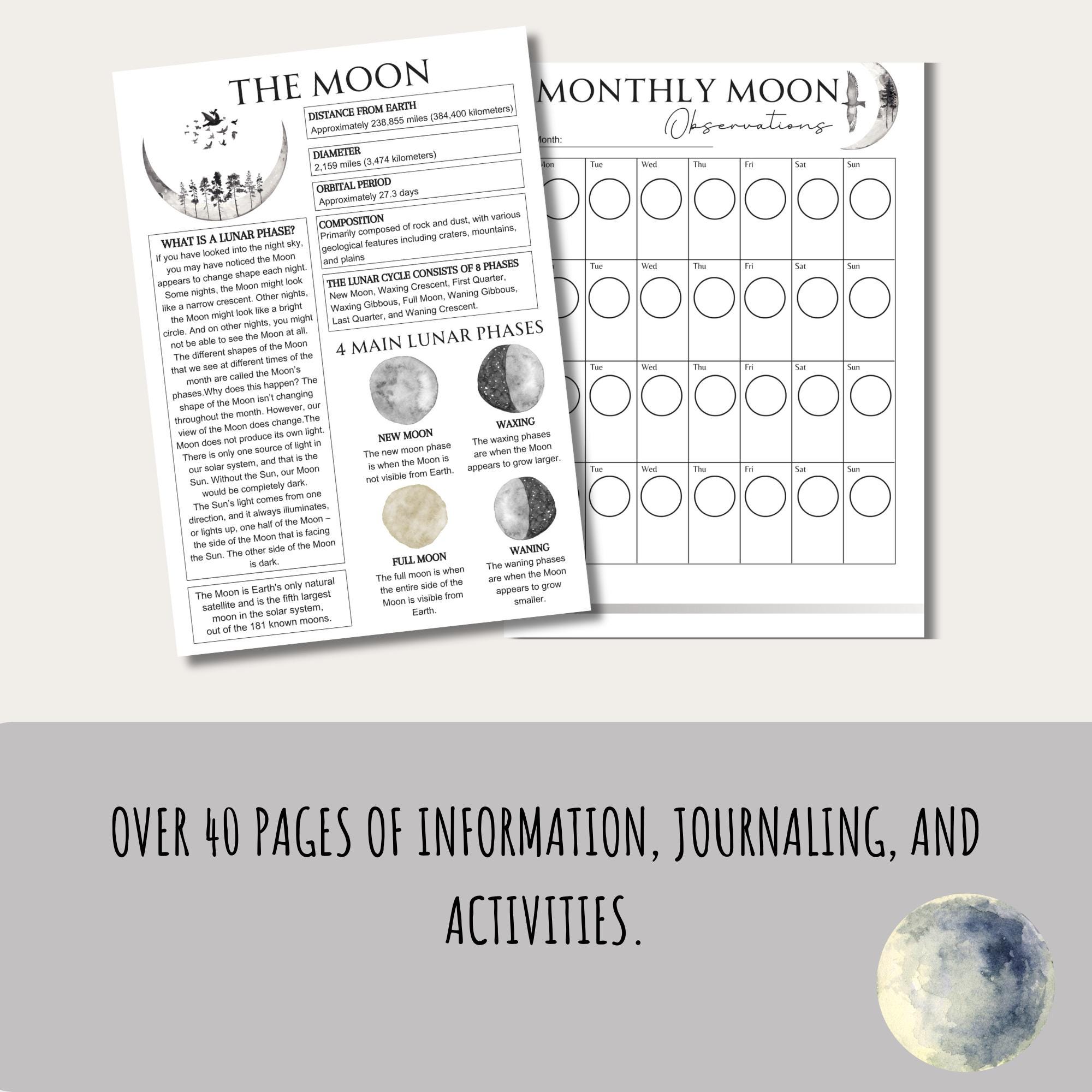 Moon Phases Study and Journal, Nature Study Educational Resources - Etsy