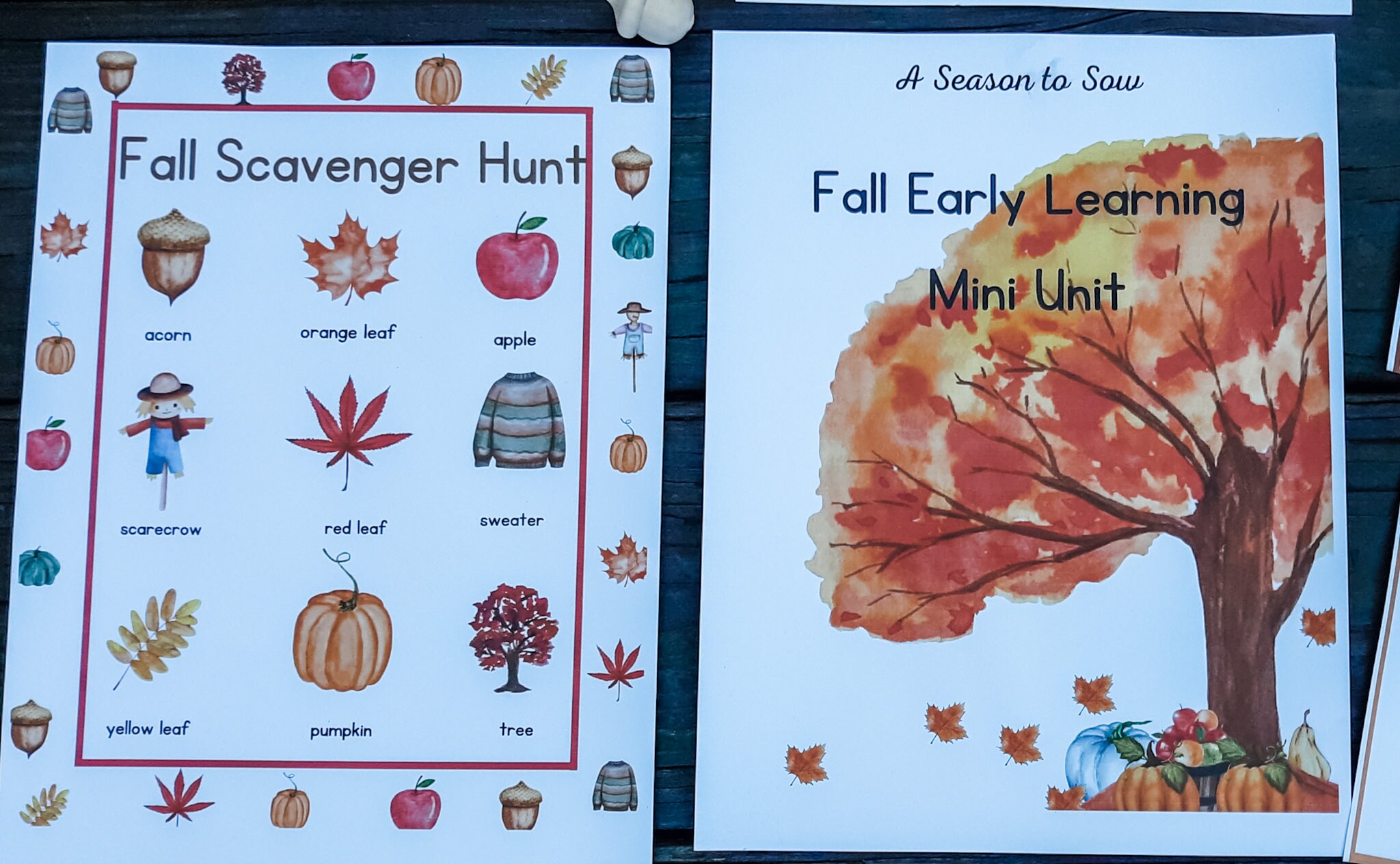 Printable Fall Activity Fall Early Learning Activities Montessori ...