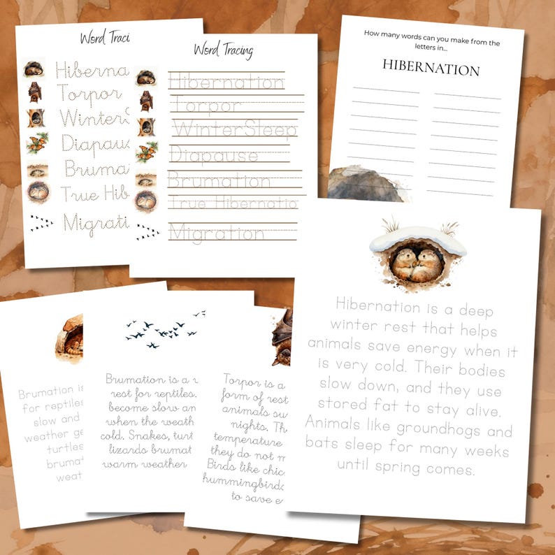 Hibernation Unit Study | Winter Science for Kids | Animal Adaptations ...