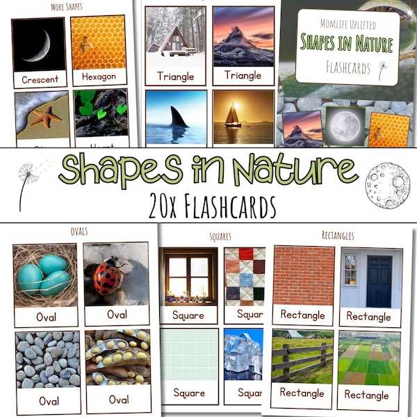 Reggio Emilia - Etsy