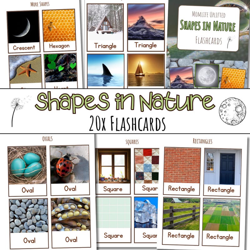Reggio Emilia - Etsy