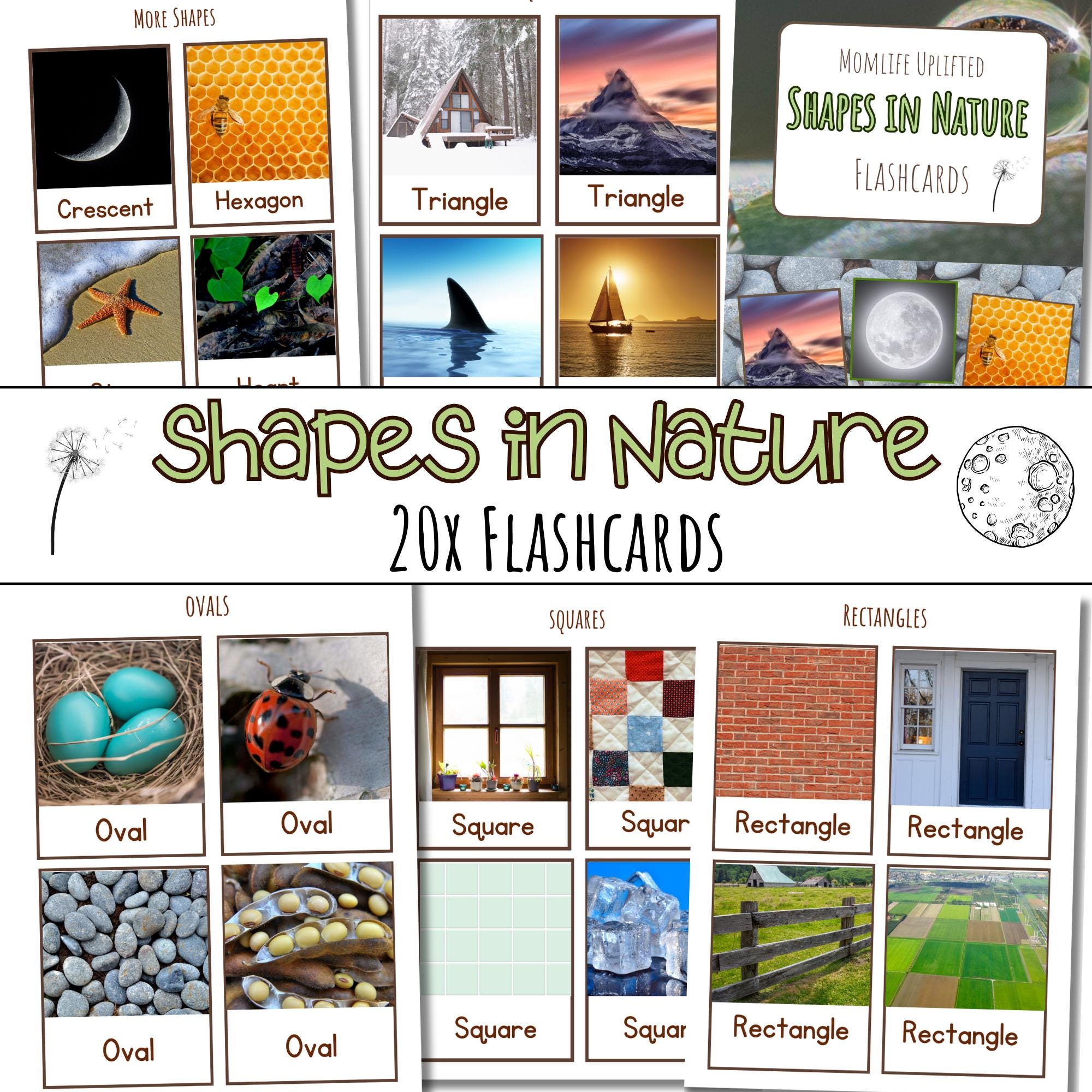 Shapes in Nature Flashcards, Reggio Emilia Preschool, Montessori ...