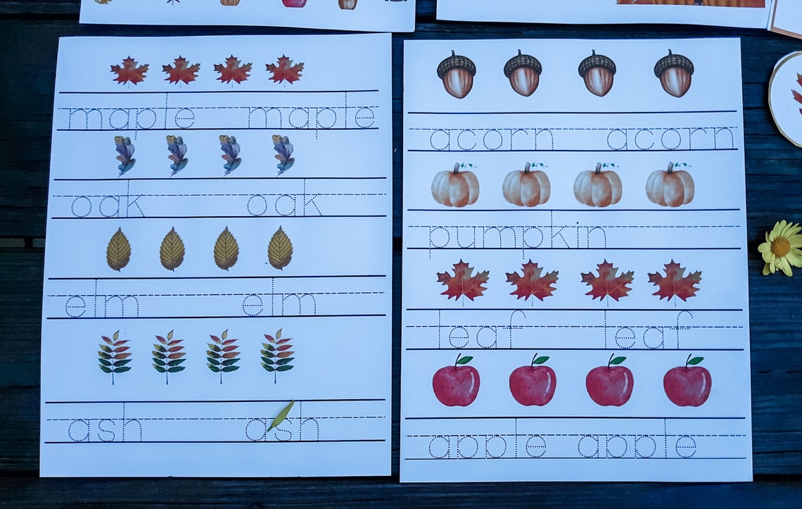 Printable Fall Activity Fall Early Learning Activities Montessori ...