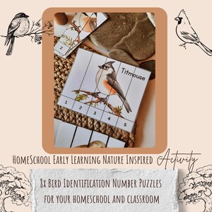 Birds Morning Basket Activity for Preschool, Printable Number Puzzles ...