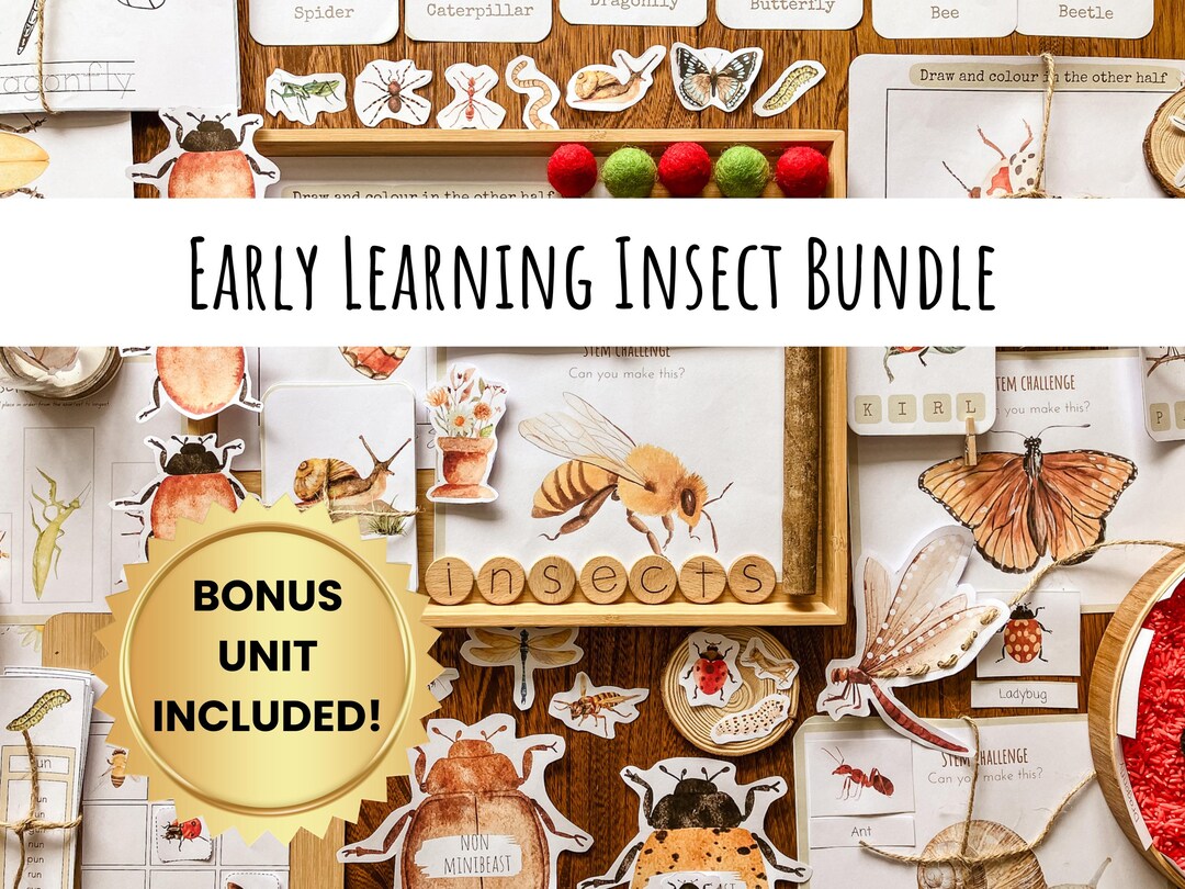 Insect Printables, Bugs for Kids,montessori Learning, Preschool Bundle ...