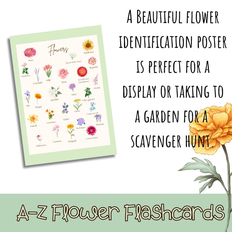 A-Z Flower Theme Flashcards for Kids - Etsy