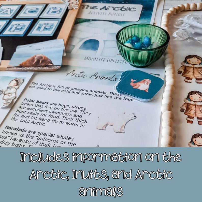 Arctic Animals Preschool Kindergarten and Elementary Activities, Winter ...