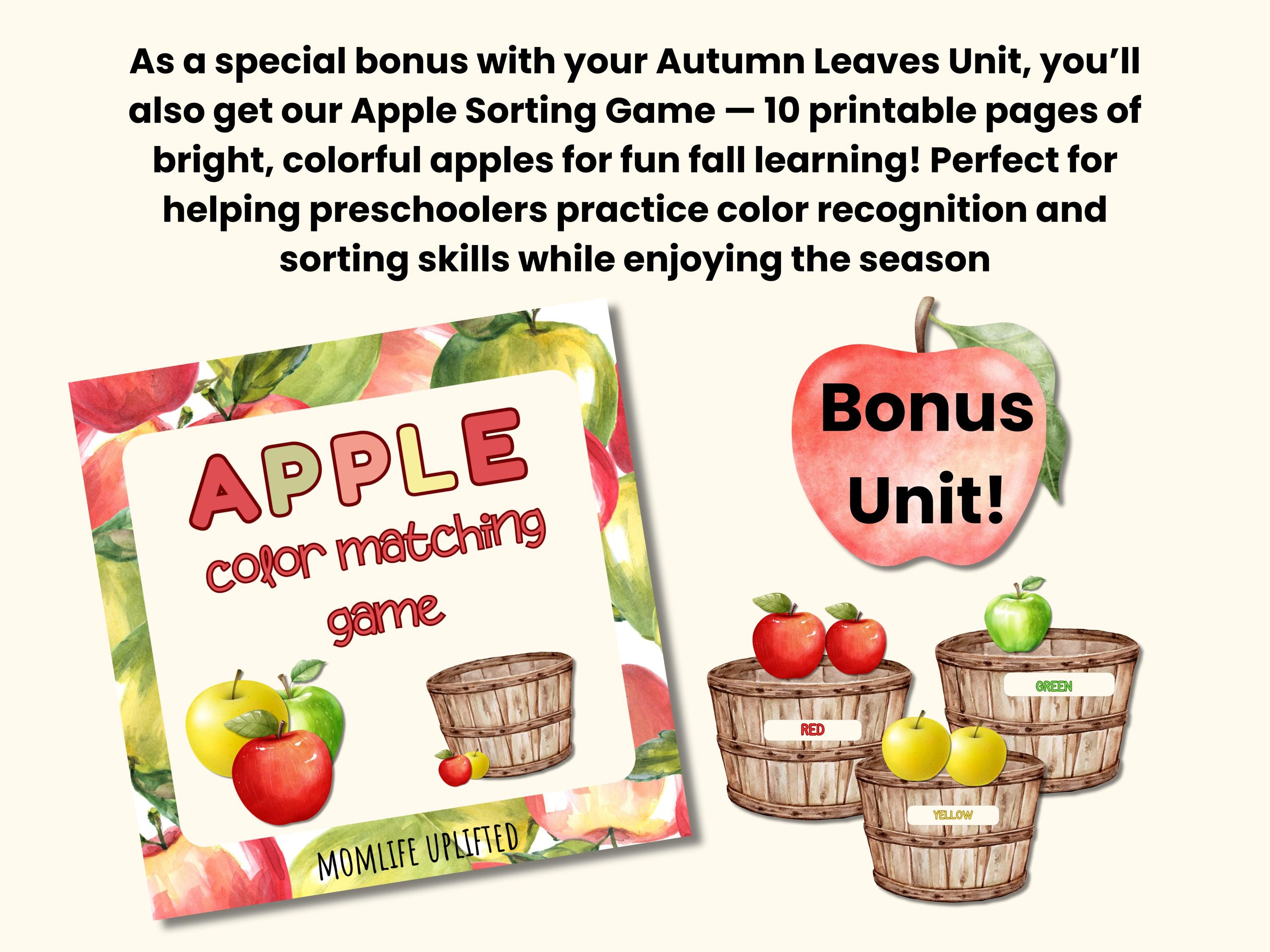 Autumn Leaves Early Learning Pack – Fall Preschool Activities, Autumn ...