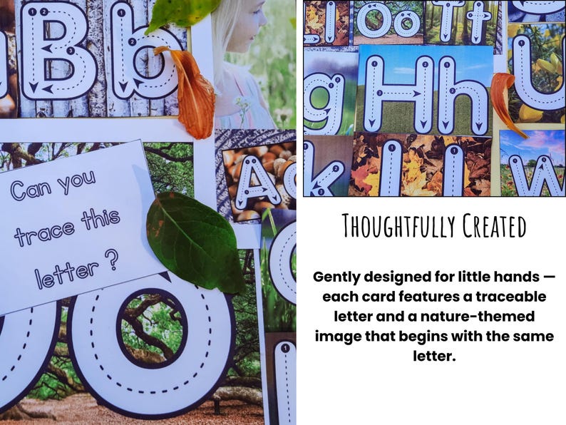 Alphabet Posters Classroom Decor, Bulletin Board Letters, Nature Back ...