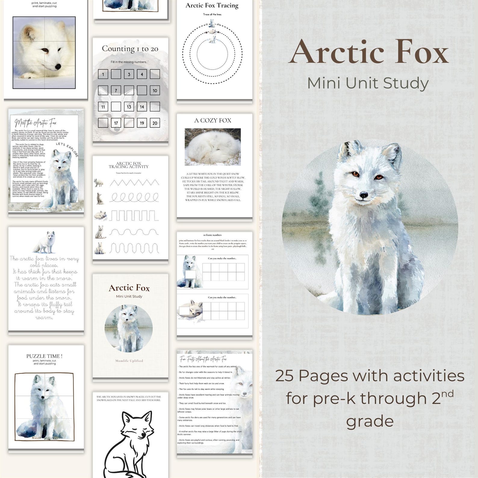 Arctic Fox Mini Unit Study | Arctic Animals Homeschool | Winter ...