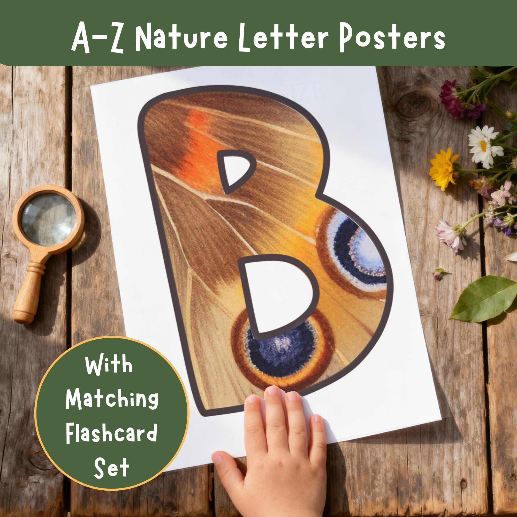 Nature Alphabet Posters & Flashcards for Kids Learning, Reggio Inspired ...