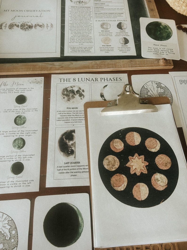 Moon Phases Study and Journal, Nature Study Educational Resources - Etsy