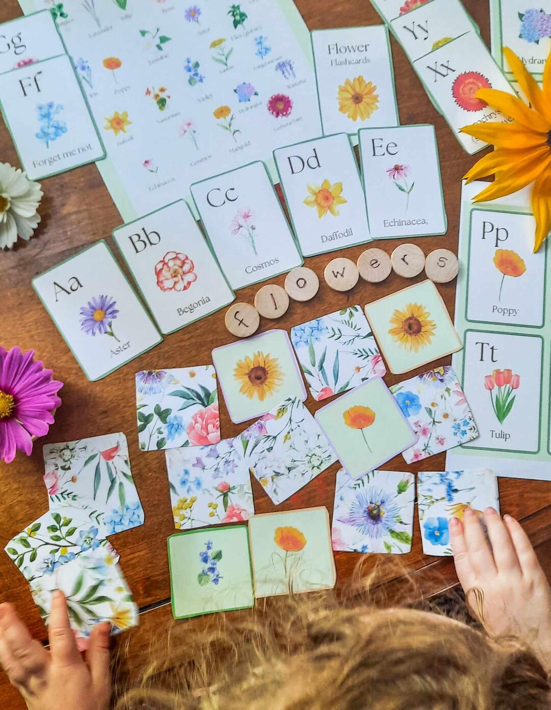 Flower Alphabet Flashcards Early Learning Nature Study - Etsy